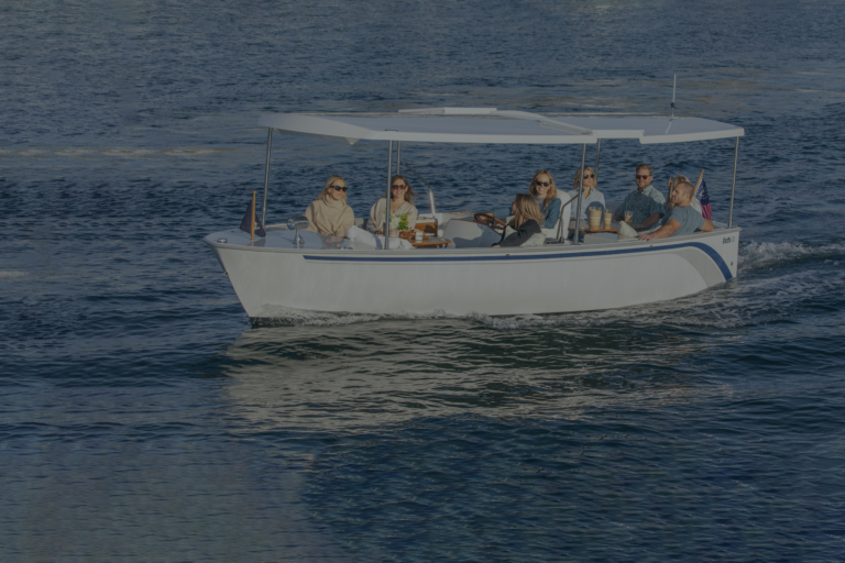 Home - Duffy Electric Boats